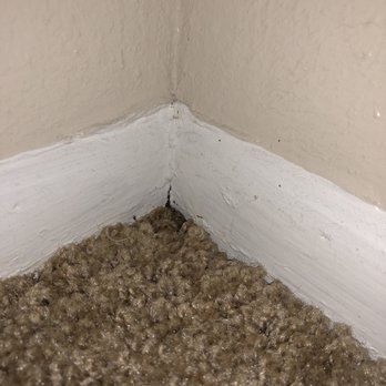 WINDWOOD APARTMENTS - Updated December 2025 - 64 Photos & 81 Reviews ...