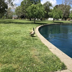 SUISUN CITY LIBRARY - Libraries - 601 Pintail Dr, Suisun City, CA ...