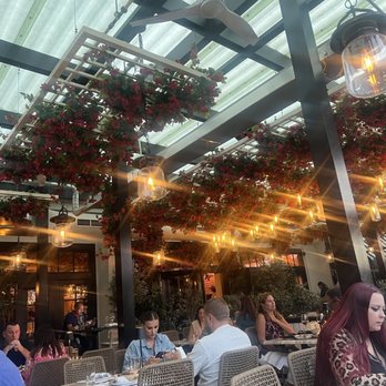 VIOLI - Updated May 2025 - 726 Photos & 284 Reviews - 260 Oakbrook Ctr ...