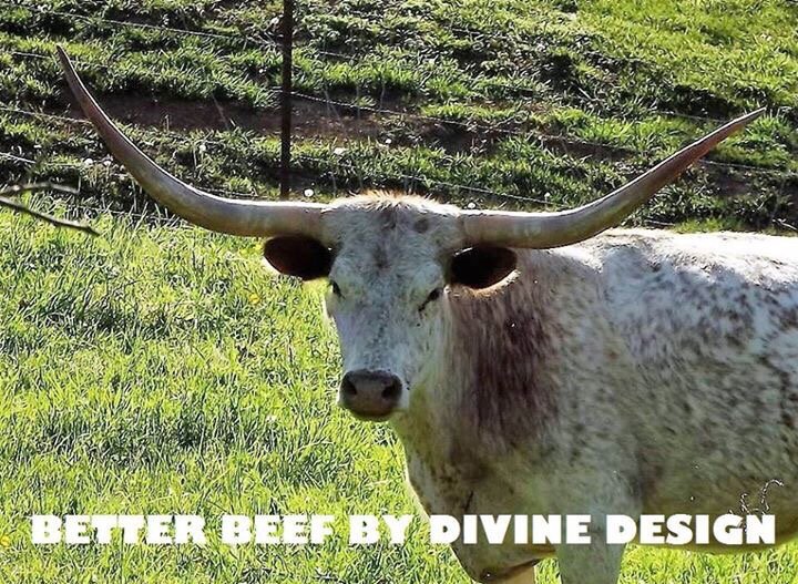 4 CORNERS RANCH - Updated August 2024 - Clyde Campbell Rd, Washburn ...