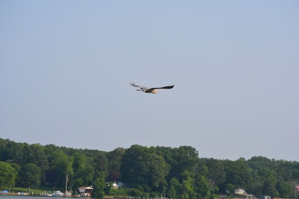 FLYING POINT MARINA - Updated December 2025 - 35 Photos - 324 Flying ...