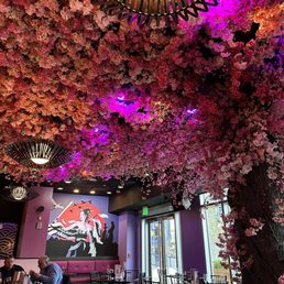 SORA - Updated July 2025 - 501 Photos & 203 Reviews - 1121 W 10th St ...