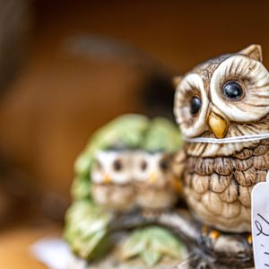 FLEA LAND - Updated October 2025 - 48 Photos & 16 Reviews - 1100 Three ...