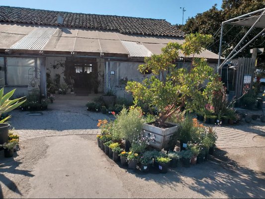 BOKAY NURSERY - Updated September 2025 - 54 Photos & 41 Reviews - 30 ...