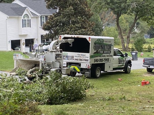 TOP NOTCH TREE SERVICE - Updated October 2025 - 66 Photos & 38 Reviews ...