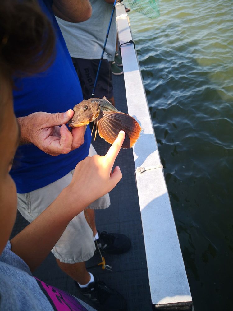 KEEPER BACK BAY FISHING - Updated August 2024 - 9605 Amherst Ave ...