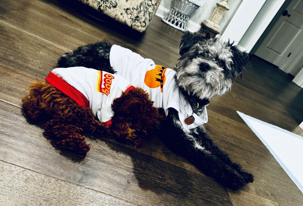 NATIV ARKIE-DOODLES - Jonesboro, Arkansas - Pet Breeders - Yelp