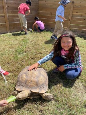 FRAGILE PLANET WILDLIFE PARK - Updated June 2024 - 12 Photos - 34748 Fm ...