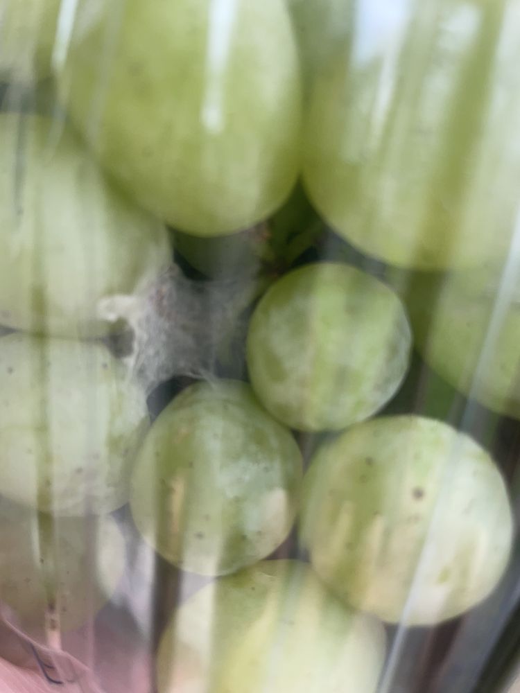 SPIRIT HALLOWEEN - Updated September 2025 - 7045 Beracasa Way, Boca ...