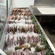 FRESHCO FISH MARKET & GRILL - 1116 Photos & 713 Reviews - 12700 SW ...