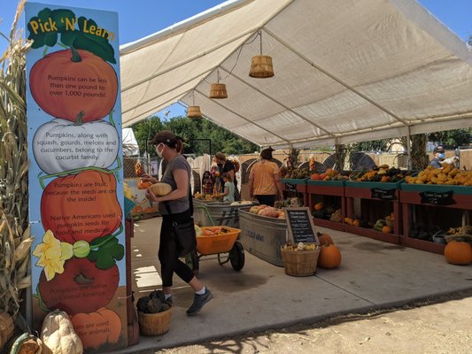 MESILLA VALLEY MAZE - Updated October 2024 - 35 Photos & 12 Reviews ...