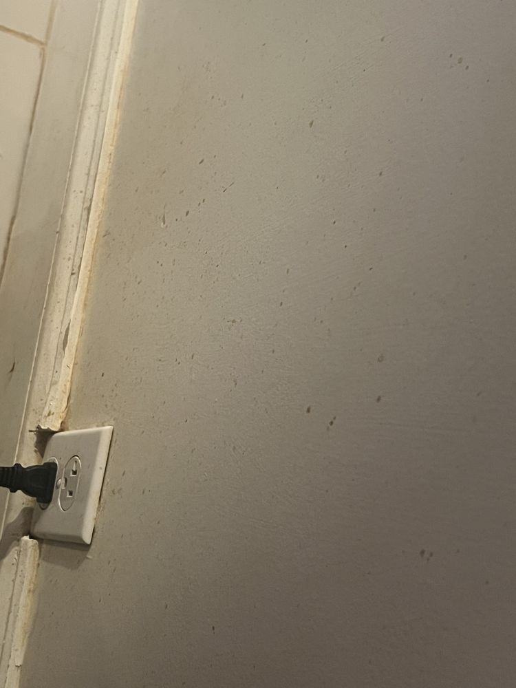 CLEAN START CLEANSING - Updated June 2025 - 58 Photos & 68 Reviews ...