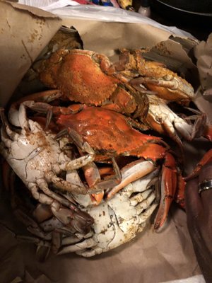 THE CRAB SHACK 2 - 14 Photos & 25 Reviews - 5305 Rising Sun Ave ...