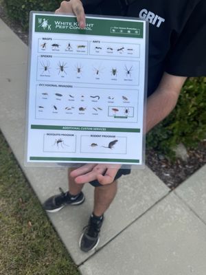 WHITE KNIGHT PEST CONTROL - Updated October 2025 - 56 Photos & 429 ...