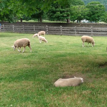 FENIMORE FARM AND COUNTRY VILLAGE - Updated October 2025 - 126 Photos ...