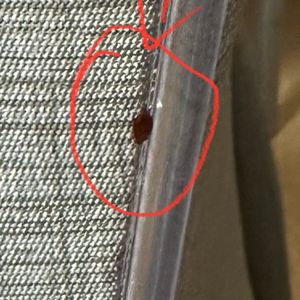 METHODIST ER BULVERDE - Updated August 2025 - 20475 TX-46, Spring ...