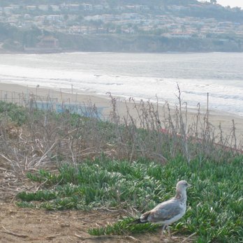 RIGHT AT TORRANCE “RAT” BEACH - Updated October 2025 - 188 Photos & 47 ...