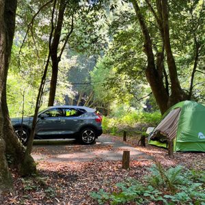 WOODSIDE CAMPGROUND - 25050 Highway 1, Jenner, CA - Yelp