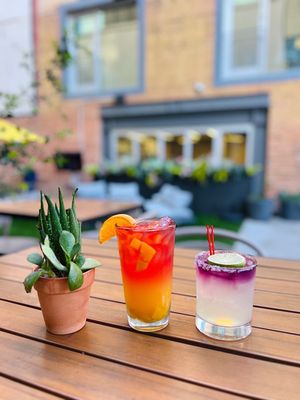 THE MONICA - Updated January 2026 - 903 Photos & 484 Reviews - 40 E ...