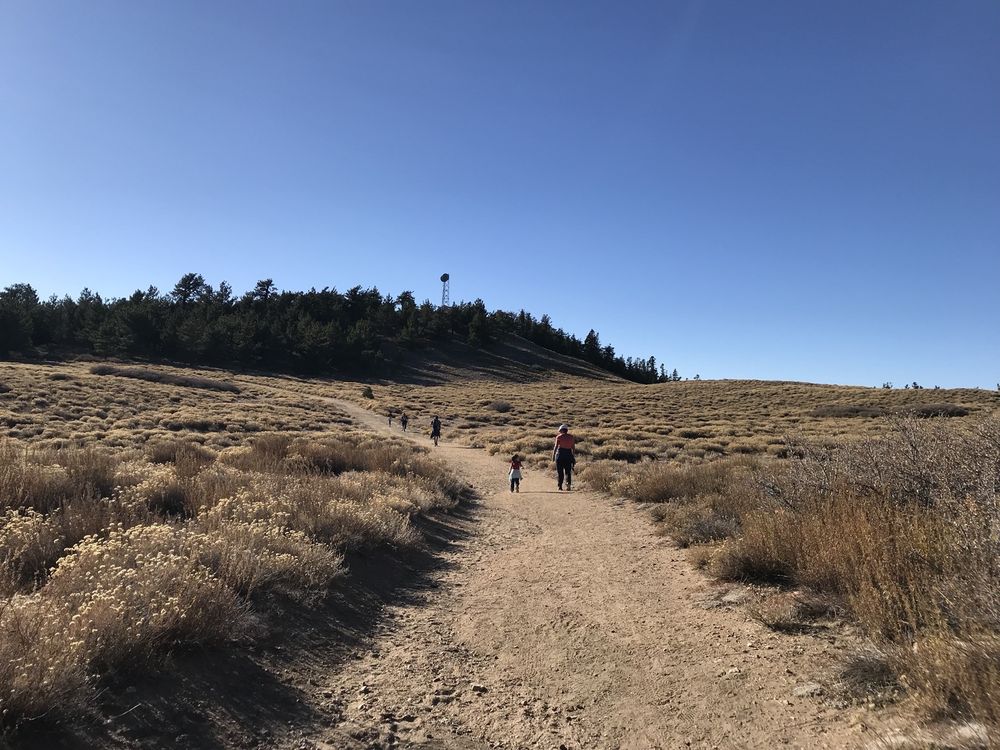 MOUNT PINOS - 165 Photos & 36 Reviews - Hiking - 34580 Lockwood Valley ...