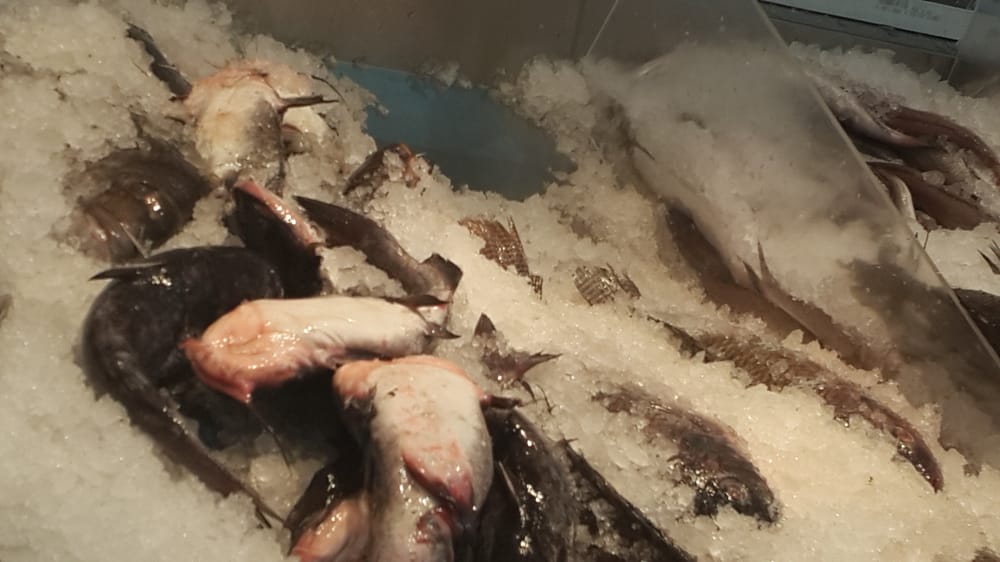 KING FISH MARKET - Updated December 2025 - 1315 Fulton St, Brooklyn ...