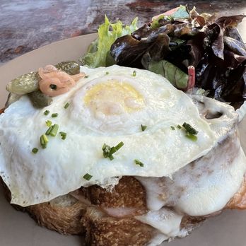 FROG & SLIM - Updated January 2025 - 999 Photos & 501 Reviews - 1420 ...