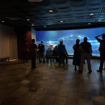 Oklahoma Aquarium - 230 Photos & 114 Reviews - Aquariums - 300 Aquarium ...