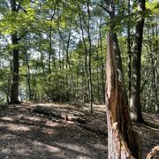 COLD SPRING HARBOR STATE PARK - 233 Photos & 60 Reviews - 83-141 State ...