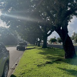 MOSA’S JOINT - Updated July 2025 - 425 Photos & 278 Reviews - 324 West ...