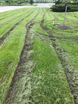 SEBERT LANDSCAPING - Updated December 2025 - 21 Photos & 13 Reviews ...