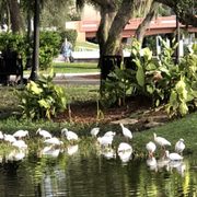 SIMS PARK - 63 Photos & 33 Reviews - Parks - Bank St And Main St, New ...