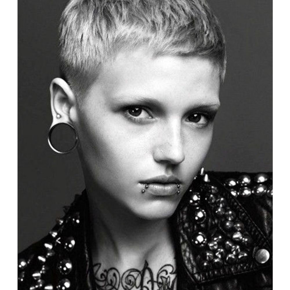 Shelby Rae's Instagram, Twitter & Facebook on IDCrawl