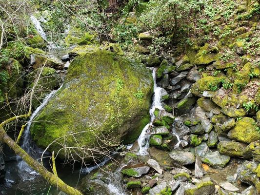 ELIM GROVE COTTAGES - Updated July 2025 - 16 Photos & 18 Reviews - 5400 ...