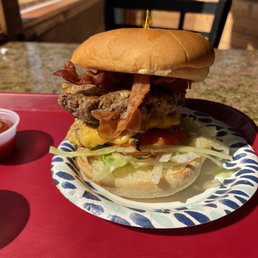 ARCTIC ROADRUNNER - Updated December 2025 - 218 Photos & 242 Reviews ...