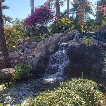 TREELAND NURSERIES - Updated December 2025 - 65 Photos & 80 Reviews ...