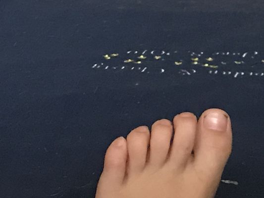 ACTION CITY - Updated October 2025 - 43 Photos & 25 Reviews - 2402 ...