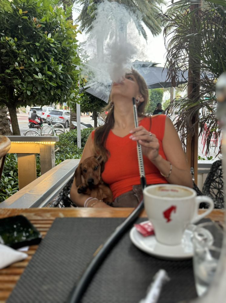 HOOKAH LOUNGE AT SALT CAFE - Updated July 2024 - 398 Photos & 13 ...