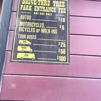 DRIVE-THRU TREE - Updated December 2024 - 549 Photos & 197 Reviews ...