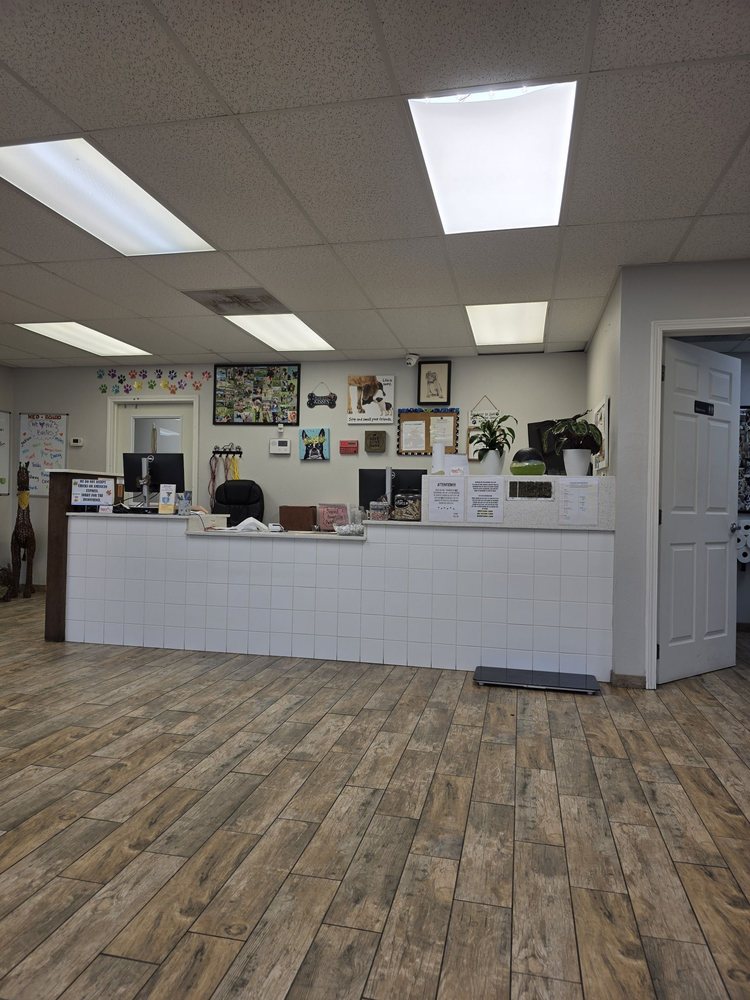 DOGS DAY INN PET RESORT - Updated January 2026 - 14 Photos & 44 Reviews ...