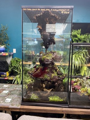 JUNGLE BOX - 25 Photos & 13 Reviews - 1735 E McDowell Rd, Phoenix, AZ ...