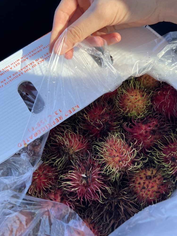 TRI OCEAN - 20 Photos & 14 Reviews - 903 S Federal Blvd, Denver, CO - Yelp