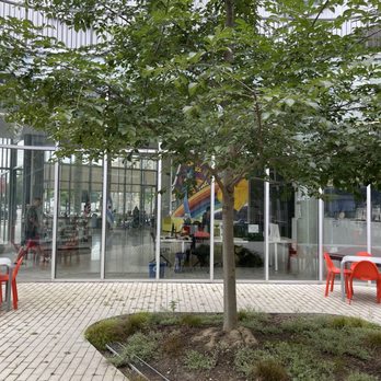 CHICAGO PUBLIC LIBRARY NORTHTOWN BRANCH - Updated December 2025 - 28 ...