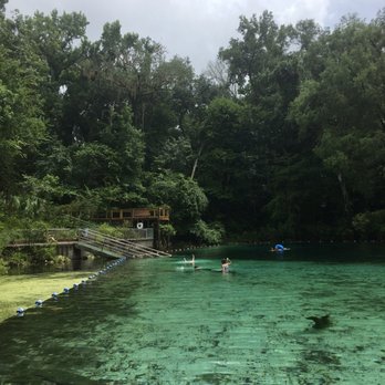 FANNING SPRINGS STATE PARK - Updated March 2025 - 126 Photos & 23 ...