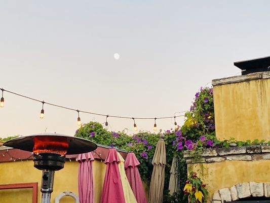 CAFE CRUZ - Updated January 2026 - 569 Photos & 1067 Reviews - 2621 ...