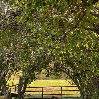 DICKHERBER FARMS - Updated May 2026 - 34 Photos & 16 Reviews - 7063 Hwy ...