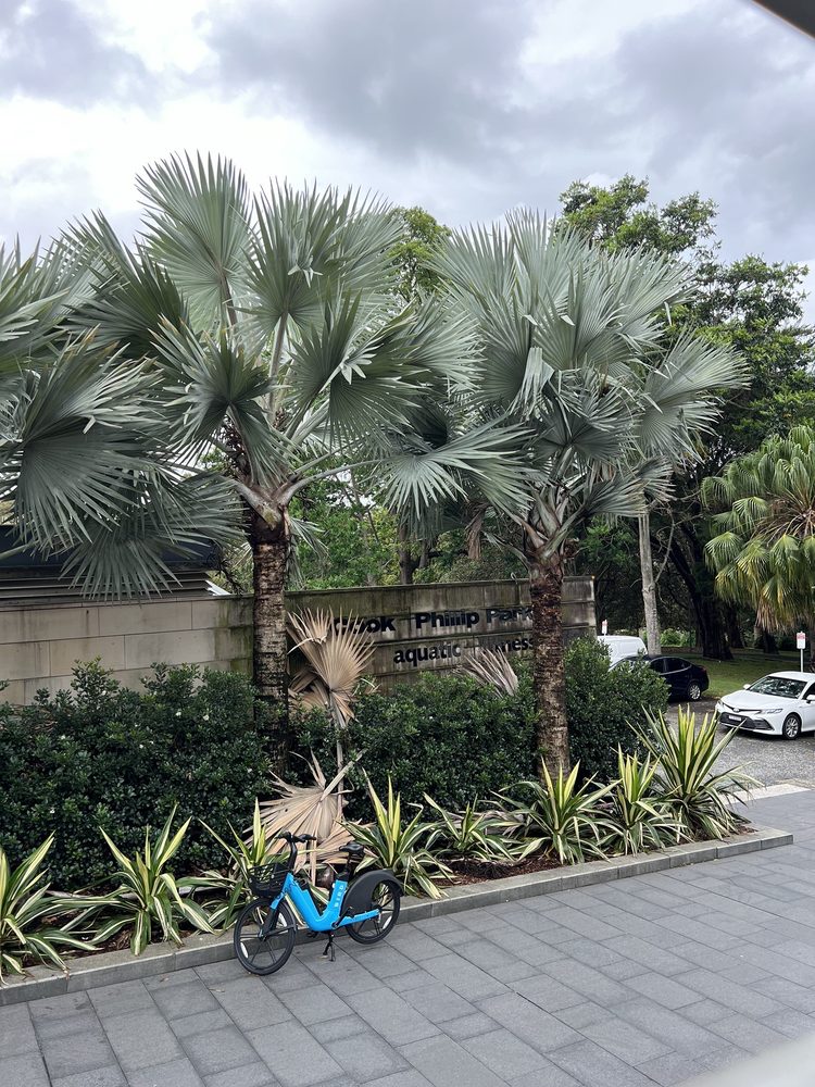 COOK & PHILLIP PARK - Updated June 2025 - 11 Reviews - 4 College St ...