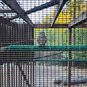 CASCADES RAPTOR CENTER - Updated November 2025 - 158 Photos & 115 ...