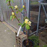 RIVER STREET FLOWERLAND - 119 Photos - 1300 River St, Kalamazoo, MI - Yelp