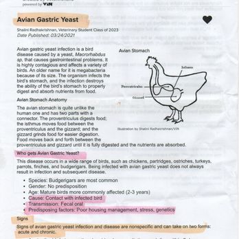 PARROT STARS - Updated September 2025 - 162 Photos & 39 Reviews - 115 N ...