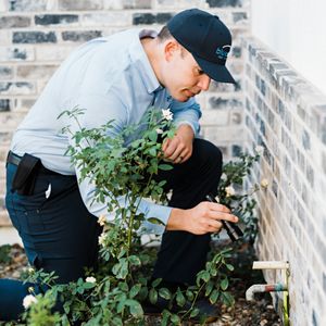 TERMIO PEST CONTROL - Updated December 2025 - 30 Reviews - 1525 W ...